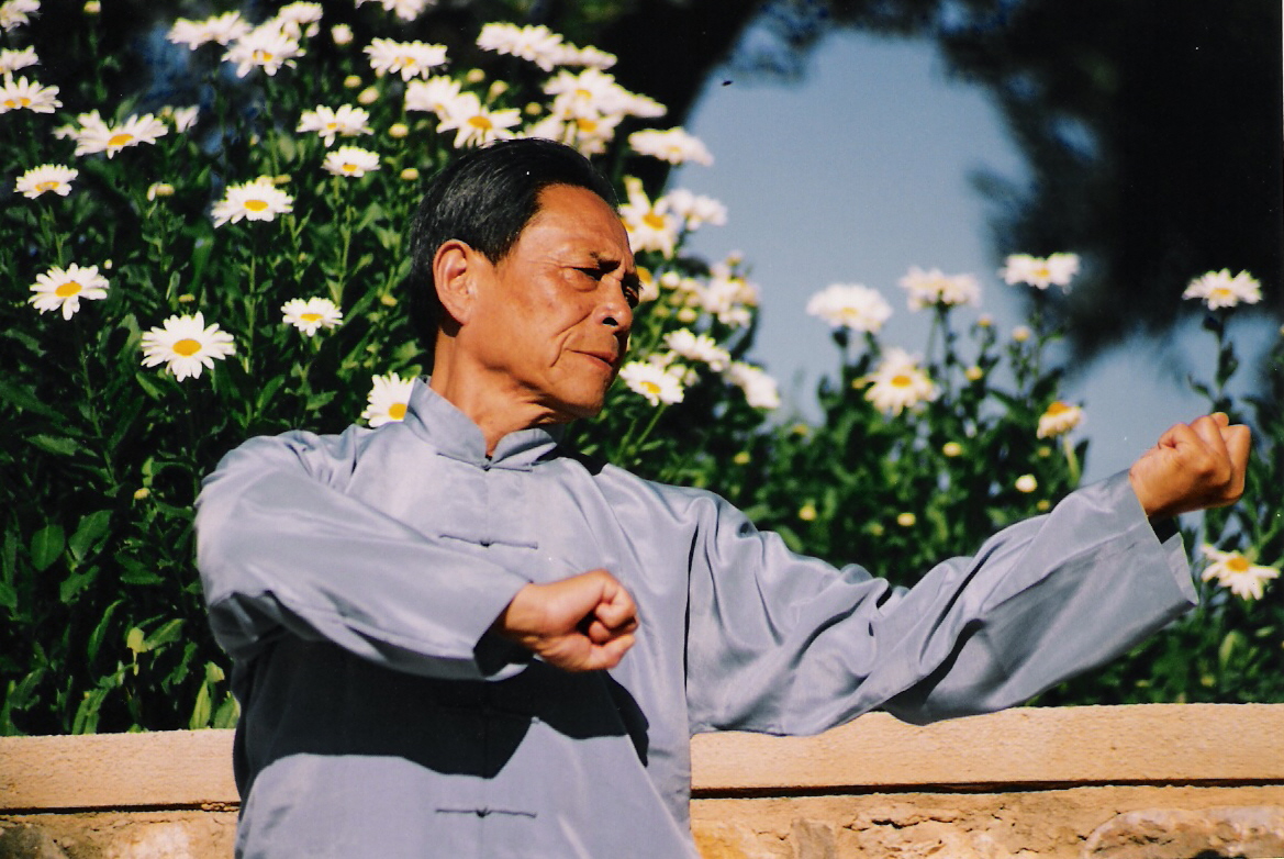 Hun Yuan Tai Chi Chuan en España – Formación Hun Yuan Tai Chi Chuan