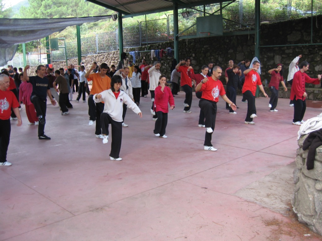 Hun Yuan Tai Chi Chuan en España – Formación Hun Yuan Tai Chi Chuan