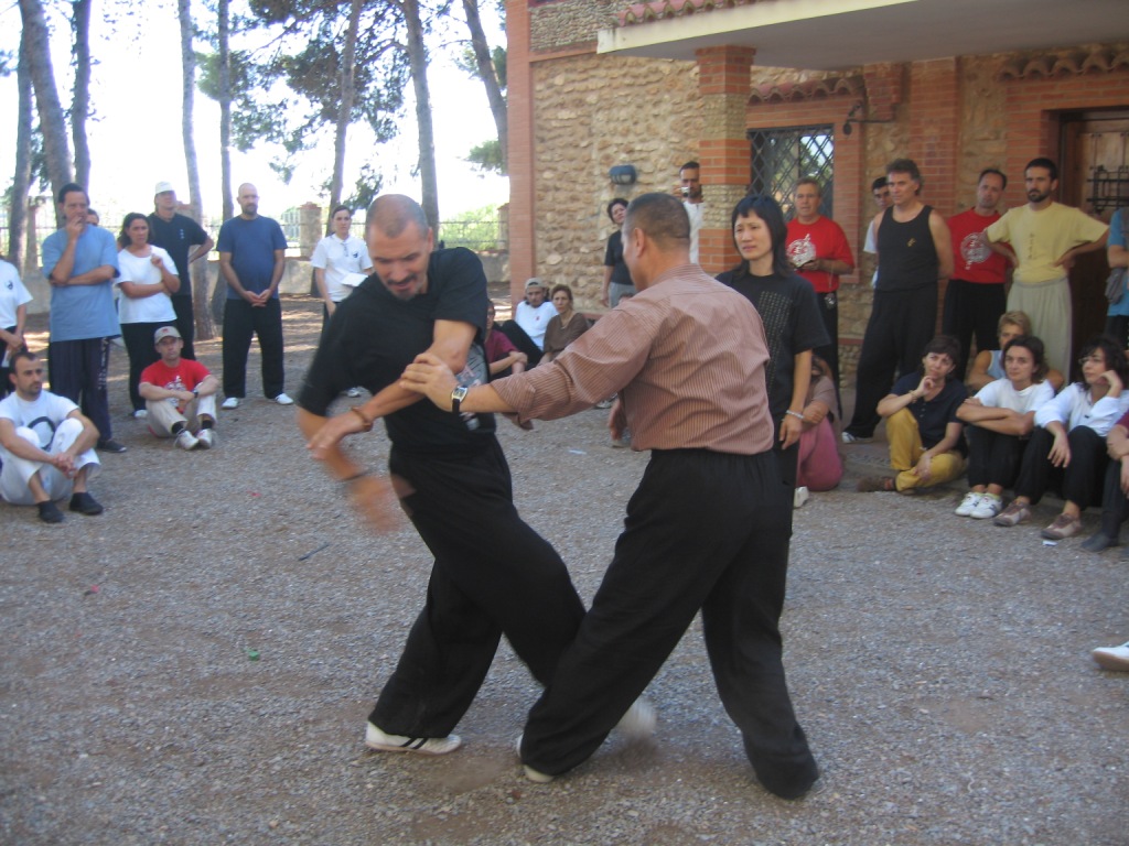 Hun Yuan Tai Chi Chuan en España – Formación Hun Yuan Tai Chi Chuan