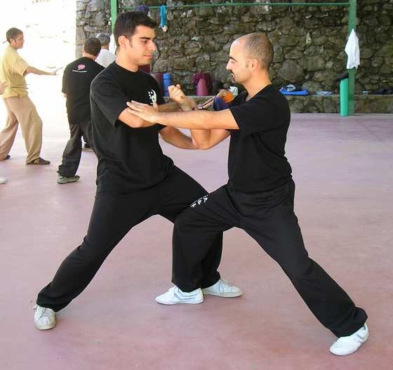7 pautas buena práctica de HunYuan Taiji – Formación Hun Yuan Tai Chi Chuan
