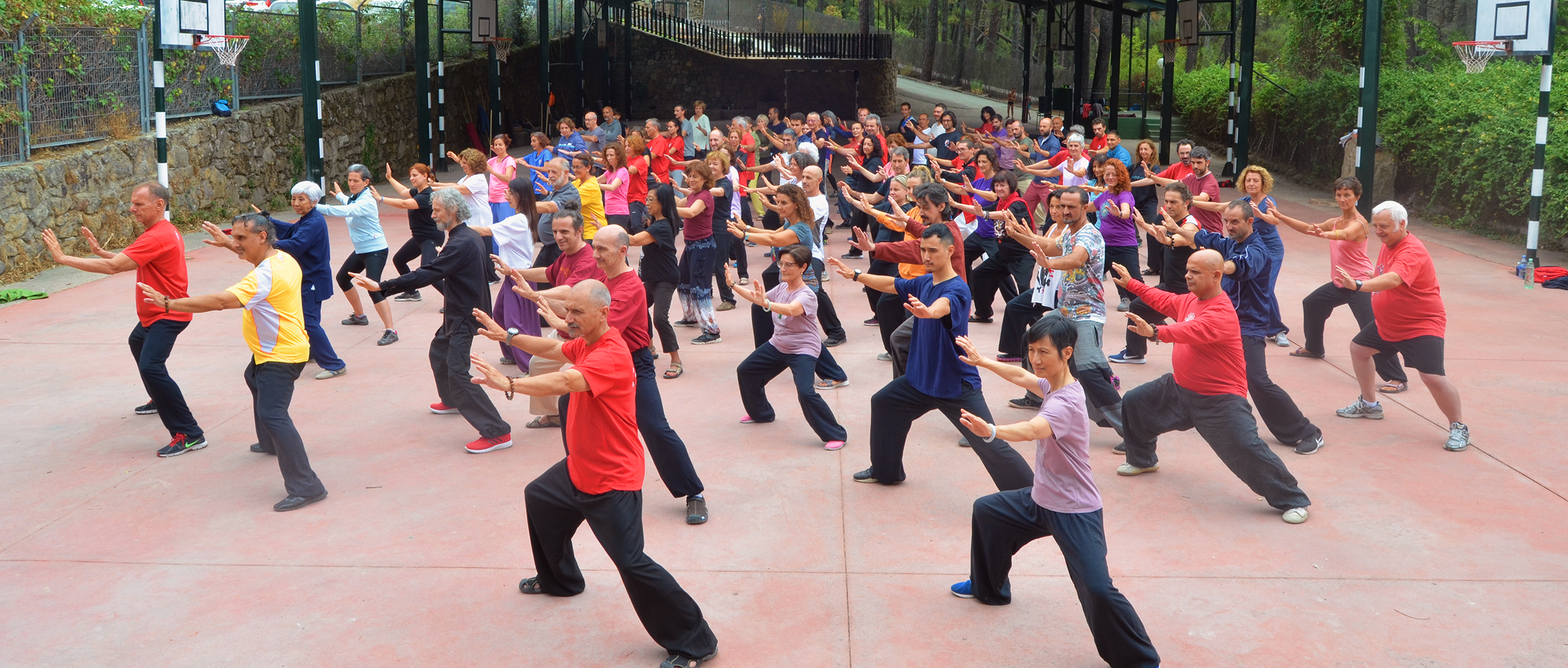Formación Hun Yuan Tai Chi Chuan – Tai Chi, Chi Kung, Meditación