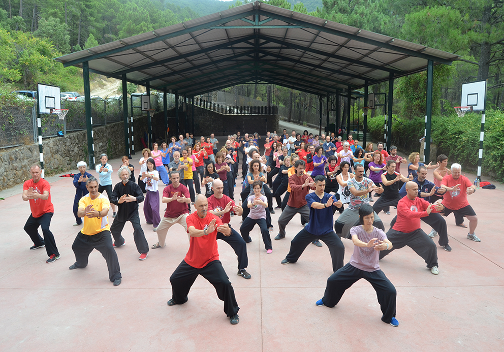 Inicio - Formación Hun Yuan Tai Chi Chuan